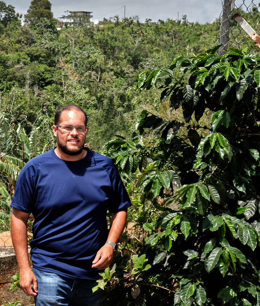 Emmanuel Ruíz - Natural Process Coffee Beans 8oz | Baraka Coffee Co.